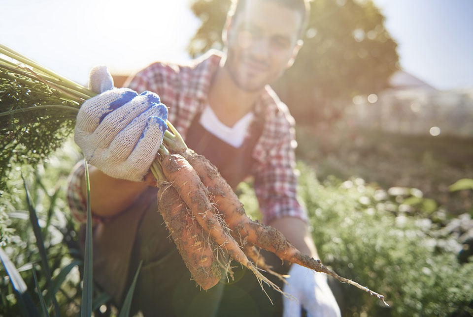 Nova Trust – Nova Trust